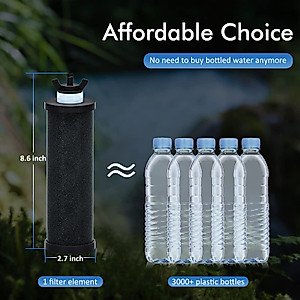 Purewell PB-2 Black Purification Elements, Replacement Filters for PB-2/BB8-2 Purification Elements and Gravity Water Filter System (2 Pack)