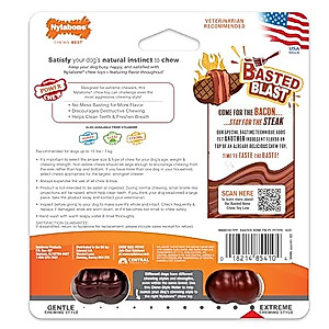 Nylabone Basted Blast Original & Textured Bone Power Chew Toy for Dogs, Dog Toys for Aggressive Chewers, Bacon and Steak Flavor, X-Small - Up to 15 lbs, 2 Pack
