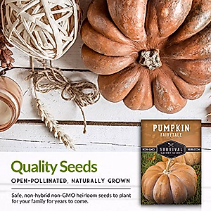 Survival Garden Seeds - Fairy Tale Pumpkin Seed for Planting - Packet with Instructions to Plant and Grow Pumpkins in Your Home Vegetable Garden - Non-GMO Heirloom Variety