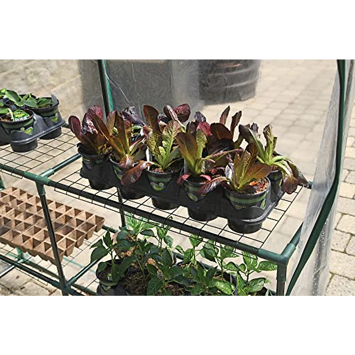 Miracle-Gro 4'8" x 4'8" x 6'5" All-Season Small Walk-in Greenhouse with 8 Wire Shelves for Outdoors, Easy-Access and Durable, Translucent
