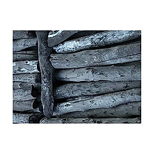 The Bincho Grill Binchotan Charcoal for Japanese BBQ 22lbs. Premium Hardwood High-Grade for Yakitori