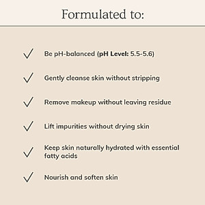 Annmarie Skin Care Aloe Herb Facial Cleanser - Gentle, pH-Balanced Cleanser with Aloe Vera, Coconut Oil & Calendula, Suitable for All Skin Types (100mL, 3.4 fl oz)