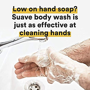 Suave Men Body Wash for Men Citrus & Sage Bodywash with Energizing, Clean Scent 15 oz