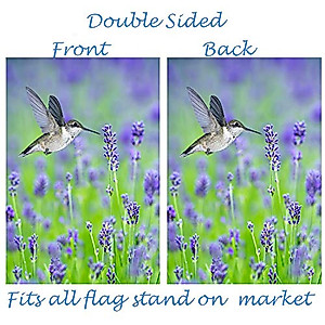 Pickako Tropical Summer Spring Hummingbird Bird In Purple Lavender Floral Flowers Garden Yard Flag 12 x 18 Inch, Double Sided Outdoor Decorative Welcome flags Banners for Home House Lawn Patio