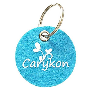 Carykon Paint Scrapers for Art DIY, Pack of 4