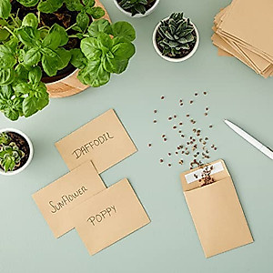 100 Pack Small Seed Saving Envelopes, Bulk 3x4 Empty Paper Packets with Adhesive for Coins, Stamps (Brown)