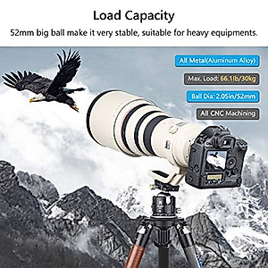 Low Profile Ball Head Tripod Mount Ball Head 52mm Diameter ARTCISE LB52 All Metal CNC Machining with Two 1/4" Quick Release Plates for Tripod, Monopod, DSLR, Camcorder，Max Load 66lbs /30kg