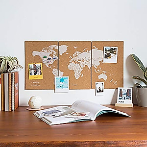 Push Pin Travel Map Kit Includes: Cork World Travel Map, World Flags, Monument and Food Stickers, for Travelers (White, Puzzle M Standard)