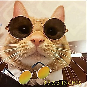 GallaRato Cowboy Costume for Pet Cowboy Bandanna Cowboy Hat for Pet Cowgirl Bandanna Sunglasses Hiphop Costume for Pet Hippie Costume