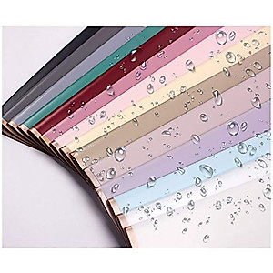 XICHEN 100 Sheets /10 Colors Gold Edge Flower Wrapping Paper,Florist Bouquet Supplies,DIY Crafts,Gift Packaging or Gift Box Packaging, Waterproof Floral Wrapping Paper 22.8x22.8Inch