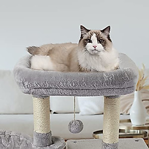 FISH&NAP US09H Cute Cat Tree Kitten Cat Tower for Indoor Cat Condo Sisal Scratching Posts with Jump Platform Cat Furniture Activity Center Play House Grey