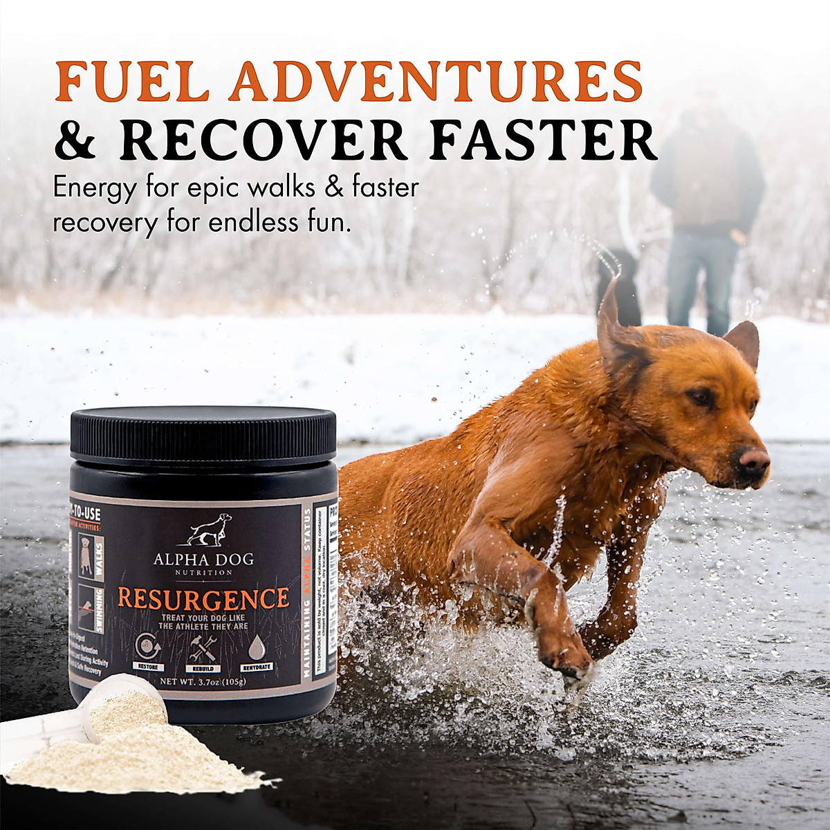 Resurgence Dog Electrolytes by Alpha Dog Nutrition | Promote Dog Hydration, Increase Stamina, and Boost Recovery | Electrolyte Water Additive or Food Topper to Prevent Dehydration with Beef Flavoring