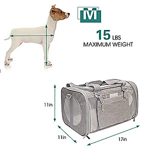 Prodigen Pet Carrier Airline Approved Pet Carrier Dog Carriers for Small Dogs, Cat Carriers for Small Cats Medium Cats, Small Pet Carrier Small Dog Carrier Cat Pet Travel Carrier -Gray,M