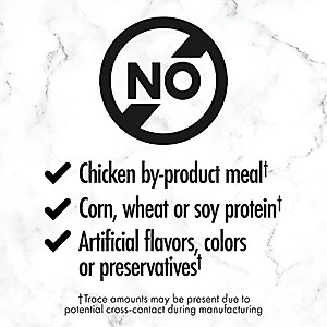 NUTRO Mini Bites Dog Treats Beef & Hickory Smoke Flavor, 4.5 oz. Bag