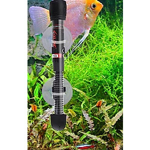 AccEncyc 24Pcs Suction Cups with Loops Window Suckers with Ring Car Glass Windshield Sunshade Suction Cups Aquarium Heater Suction Cups Glass Suction Pads for Seasonal Xmas Decorations (Clear)