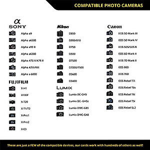Prograde Digital SD UHS-II 128GB Card V60 –Up to 130MB/s Write Speed and 250 MB/s Read Speed | for Professional Vloggers, Filmmakers, Photographers & Content Curators