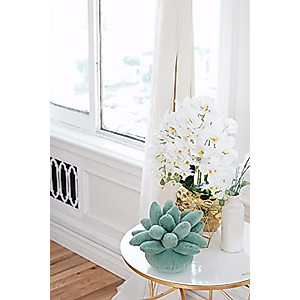 Flower Shaped Succulent Pillow | Pack of 1 Leaf Shaped Pillow | Cute Cactus Pillow for Garden Lovers | Green Plant Shaped Pillow | Decorative Throw Pillows for Bedroom, Room & Home Decoration