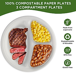 Disposable Paper Plates 9 Inch with 3 Compartment [125 Pack]-100% Compostable Heavy Duty Plates, Biodegradable Paper Plates Made from Sugar Cane Fibers, for Parties, Daily Meals, Dinners, BBQ (White)