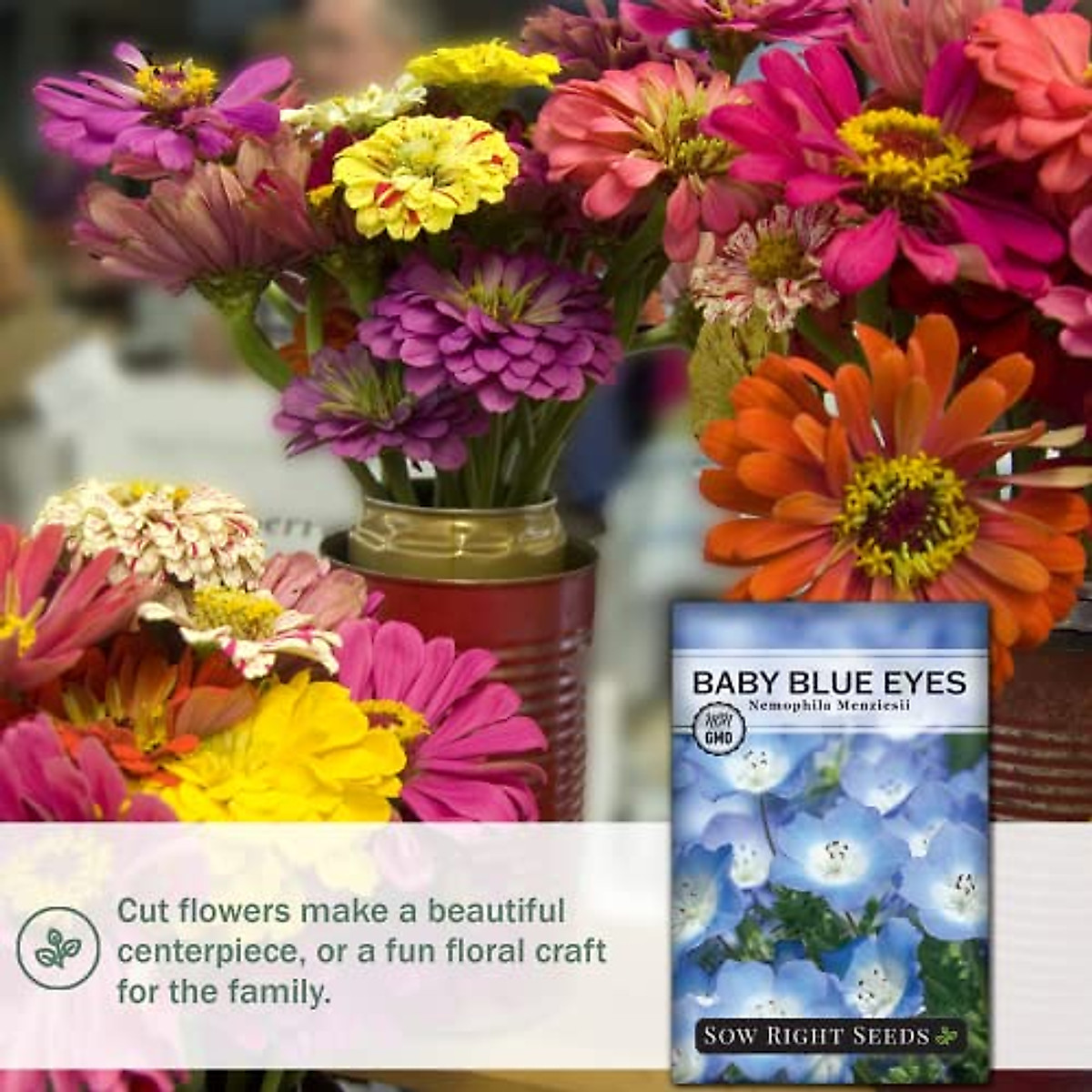 Sow Right Seeds - Baby Blue Eyes Flower Seeds for Planting - Beautiful Flowers to Plant in Your Home Garden - Indoors or Outdoors - Non-GMO Heirloom Seeds - Attract Pollinators - Great Gardening Gifts