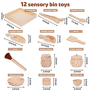 Crisschirs Sensory Bin Tools with Wooden Box, Montessori Toys for Toddlers, Sensory Toys, Set of 12 Wooden Scoops and Wooden Tongs for Transfer Work and Fine Motor Learning (Brush 12 Sensory Toys)