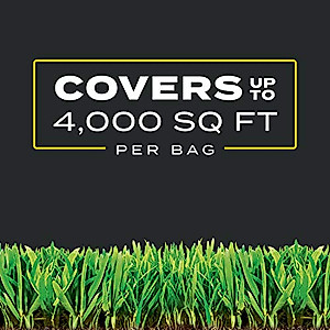 Scotts Turf Builder Triple Action - Weed Killer & Preventer, Lawn Fertilizer, Prevents Crabgrass, Kills Dandelion, Clover, Chickweed & More, Covers up to 4,000 sq. ft., 20 lb.