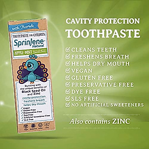 SprinJene Kids Toothpaste with Fluoride for Cavity Protection & Fresh Breath - Natural SLS Free Toddler Toothpaste for Childrens 2 Years & Up/Preservative & Toxic Free (1 Pack) Apple Mint
