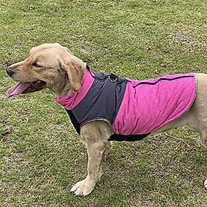 HonpraD Pet Clothes for Small Dogs Girls Dress Reflective Waterproof Pet Coat Winter Warm Dog Coat for Small Medium Large Dog