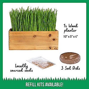 The Cat Ladies Cat Grass Kit (Organic) with Rustic Wood Planter, Seed and Soil. Easy to Grow for Indoor or Outdoor Cats, Dogs and Other Pets. Prevent Hairballs and Aid Digestion