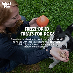 WEST PAW All-Natural Raw Freeze-Dried Dog Treats – Farm-Fresh Pork Training Treats for Dogs – Wholesome Canine Treat for Puppies, Adult Dogs & Senior Dogs, Pork with Superfood, 2.5 oz