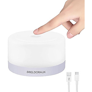 S SELDORAUK Baby Night Light Nursery Night Light for Kids - USB Rechargeable Bedside Lamp Nightlight Lamp - Touch Control Nursery Lamp for Breastfeeding, Sleeping and Relaxing (Cool Light)