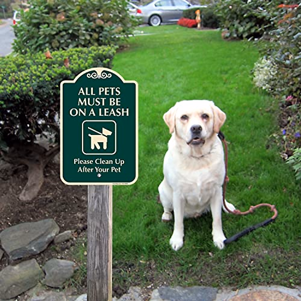 SmartSign Designer "All Pets Must Be On A Leash - Clean Up After Your Pet" Sign, 12" x 18", 120 mil Aluminum Composite (ACM) with Overcoat, Green, Made in USA
