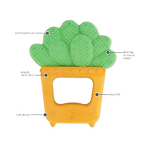 Infantino Squeeze & Teethe Succulent - Soft, Easy to Hold, BPA-Free, Natural Rubber Textured Teether for Babies 0M+