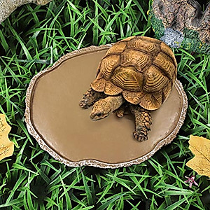 POPETPOP Reptisoil Reptiles Reptile Feeding Bowl Resin Thicken Water Dish Bowl Breeding Tray Feeding Plate for Lizard Snake Gecko Turtle Iguana Tortoise Reptisoil Auto Feeder