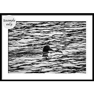 Swimming Loon on Water Bird Photography Unframed Black and White Print Nature Photo Silver Gray Wall Art Monochrome Home Decor
