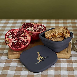 Austin Baby Co Silicone Collapsible Snack Bowl – Reusable Snack Container with Two Specialized Lids – BPA free, Dishwasher Safe and Leakproof for Toddlers & Babies