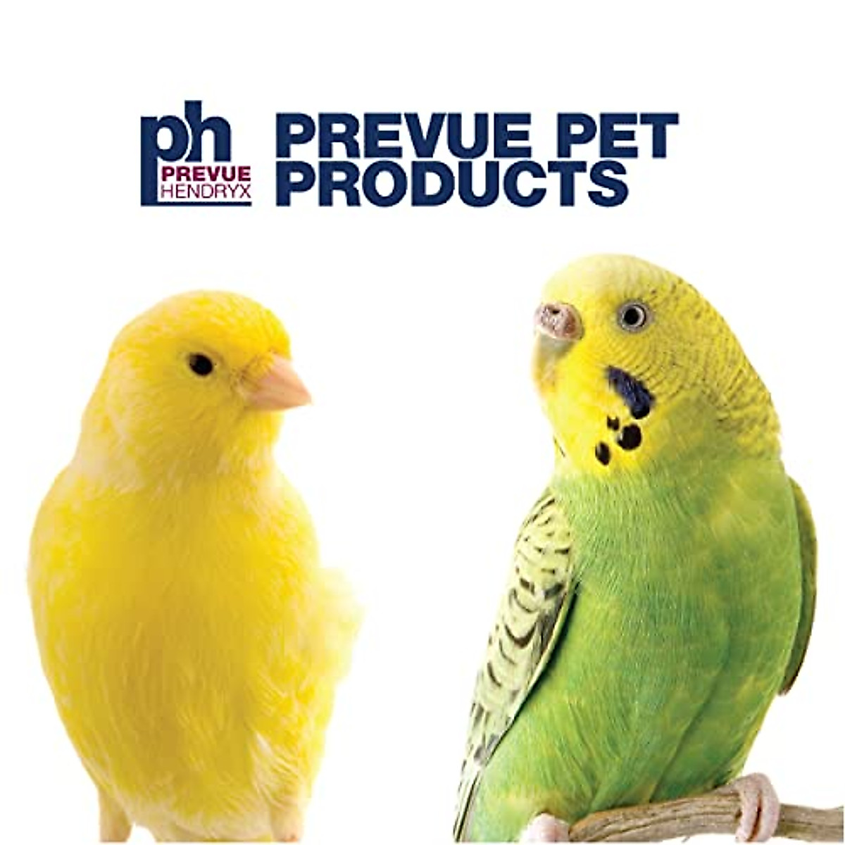 Prevue Pet Products Wrought Iron Flight Cage with Stand, Large Birdcage for Pets, Metal Cage Standing Birdcage, Chalk White