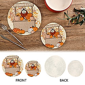 Spring Dogs Sunflower Pot Holders Trivets 2 Pcs Heat Resistant Trivets for Hot Dishes,Puppy Pumpkin Funny Cotton Thread Weave Trivet Mats for Hot Pads Pans Pot Bowl Teapot for Kitchen Decor
