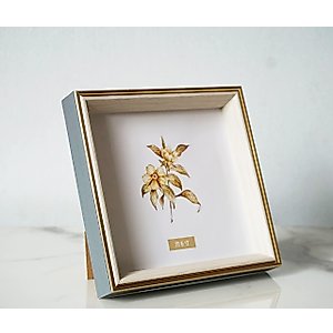 PLUSCHEN 6x6 Blue Beige Square Picture Frame, 6x6 Resin Photo Frame, Wall and Desktop Display Picture Frame, Plexiglass