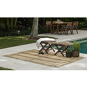 Momeni Hampton Transitional Indoor/Outdoor Area Rug, Natural, 4'1" X 6'