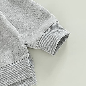 Gueuusu Toddler Kids Baby Boy Girl Crewneck Sweatshirt Cotton Long Sleeve Solid Color Pullover Top Casual Spring Fall Clothes (Light Gray , 6-12 Months )