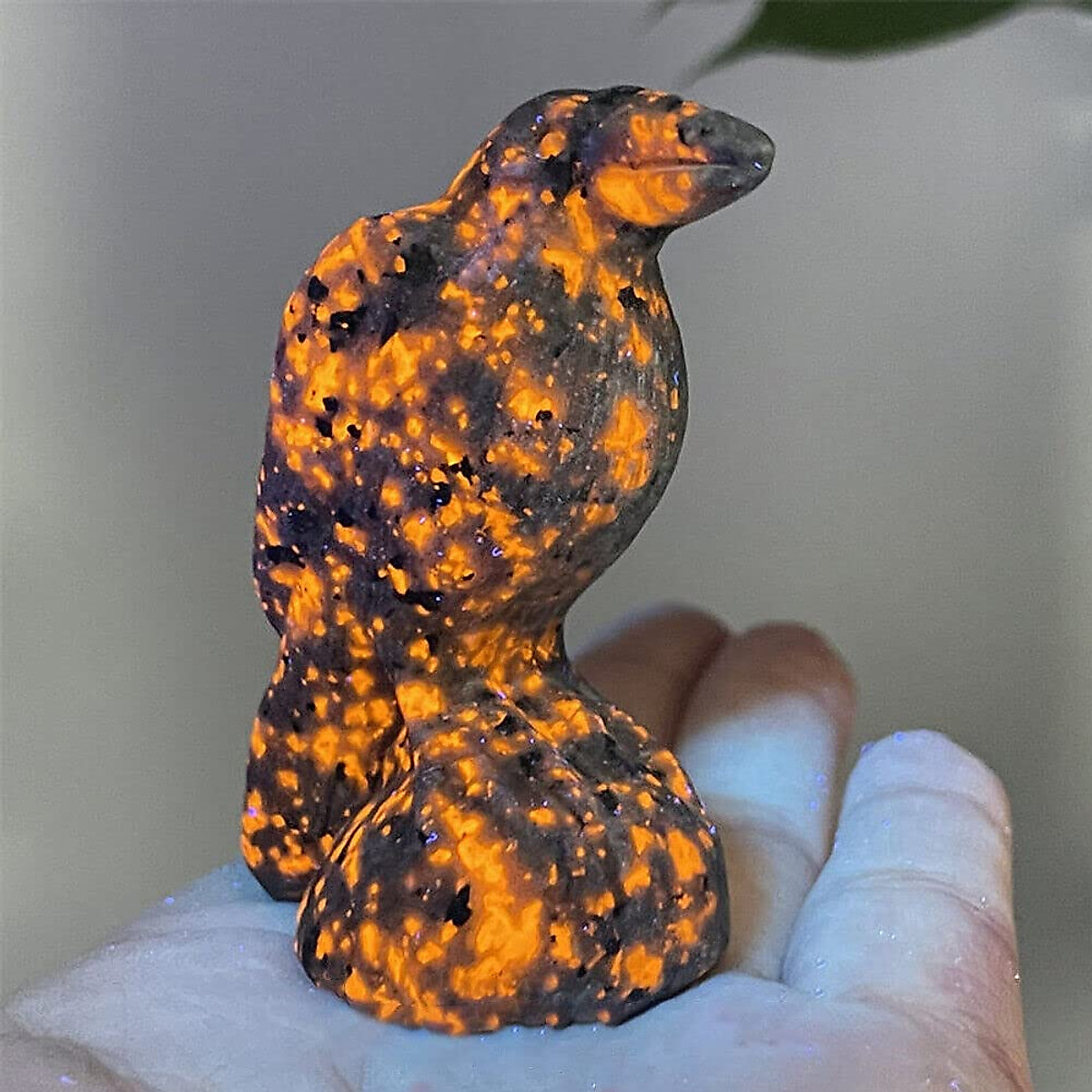 1pc Natural Yooperlite Crow Skull Quartz Crystal Skull Carved Figurines Gem 2.4"