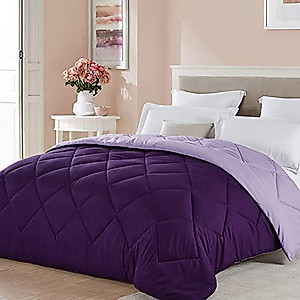 Seward Park Full/Queen Size Reversible Comforter Kids Lightweight Microfiber Fill Girls Bedding All Season Cooling Summer Bedspread Blanket Lavender Plum/Light Dark Purple