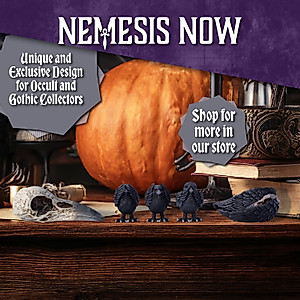 Nemesis Now Edgar's Raven Skull Figurine, Gothic Decor, Bird Skeleton, Hand-Painted Resin, Edgar Allan Poe Themed Ornament with Engraved Poem, 21cm