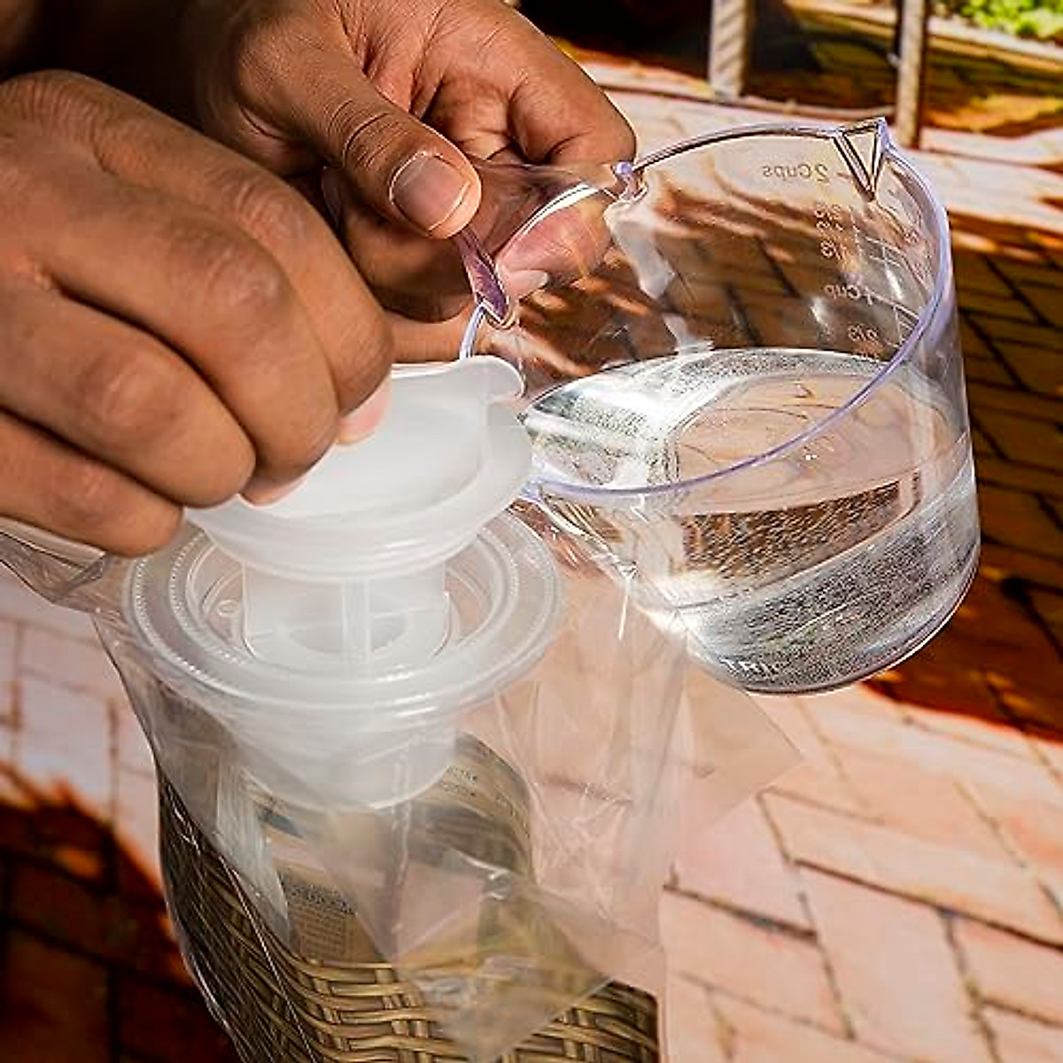 Black Flag Disposable Fly Trap, Attracts All Major Fly Species