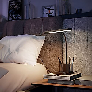 AXX Desk Lamp for College Dorm Room, School Study Supplies for Teens Kids, Office Desk Lights with Organizer/Storage, Desktop Lamp for Bedroom, LED, Small, Black, Pen Holder, Gooseneck