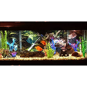 Otterly Pets Plastic Plants for Fish Tank Decorations Large Artificial Aquarium Decor and Accessories (Blue and Purple 8-Pack)