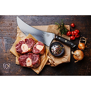 The Shogun Series 9" 'Raptor' Meat Cleaver Bundled with The Dalstrong Premium Whetstone Kit