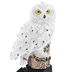 Antilog Garden Light Solar Powered Waterproof Garden Light Outdoor Lawn Lamp for Home Garden Lighting(White)