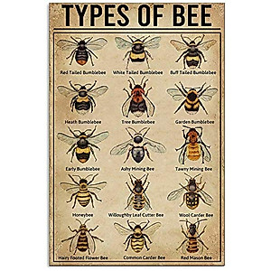 Types of Bee Retro Nostalgic Art Print Poster Tin Sign Cafe Bar Metal Sign Garage Plaque 8x12 Inches