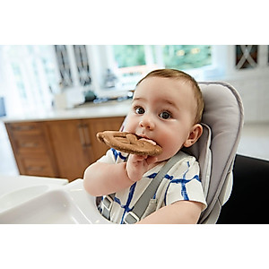 Fisher-Price GMR21 Pretzel Teether BPA Baby Teether Toy